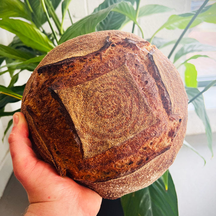 House Sourdough | MOR Bakery